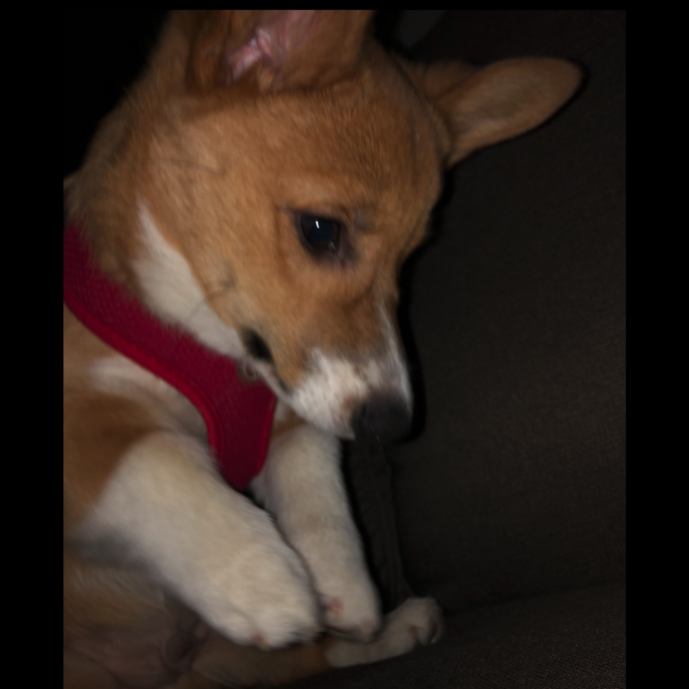 Subscriber-Room - _Mickey_