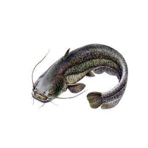 Live-Room - petr-sumec