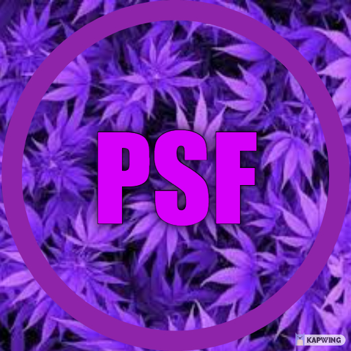 Team_PSF