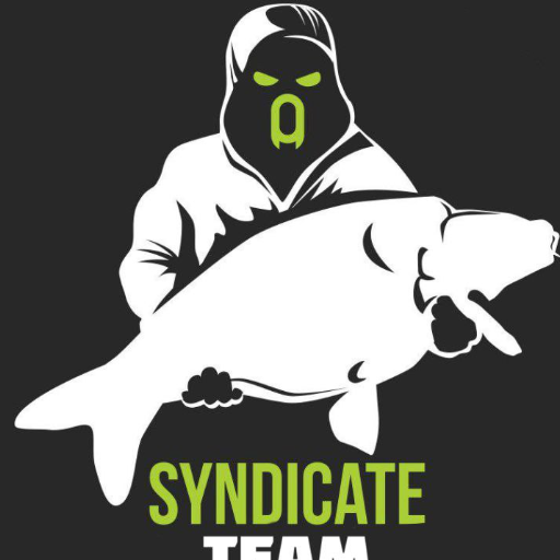 Прошлое - SYNDICATE_TM