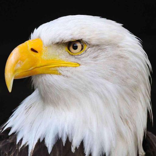 Video-Room - konstantin_lukashenko