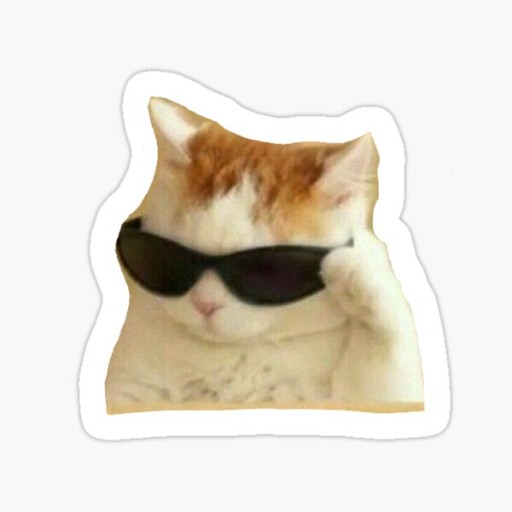 Live-Room - Abralite