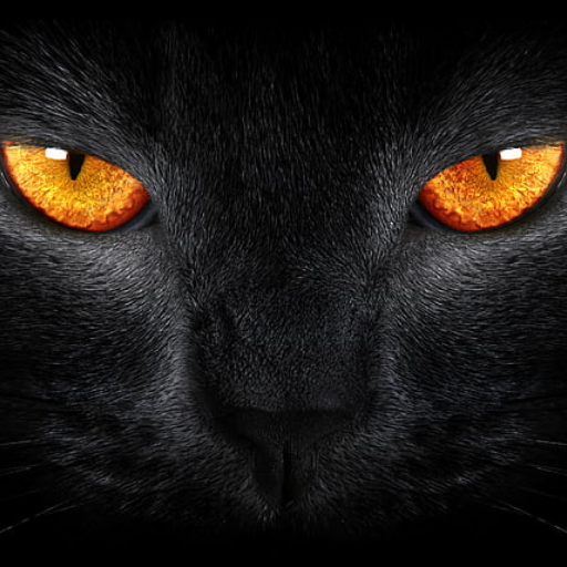 Live-Room - aAmagamAa